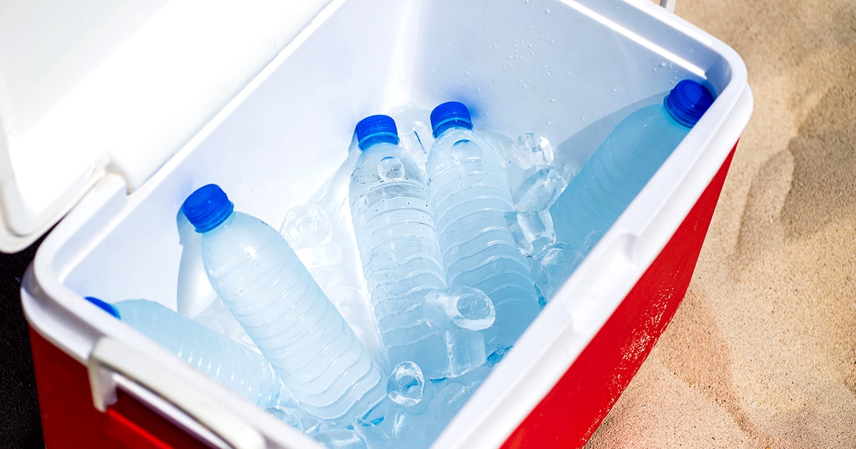 Best Rotomolded Cooler – 5 of the Toughest Coolers in 2021