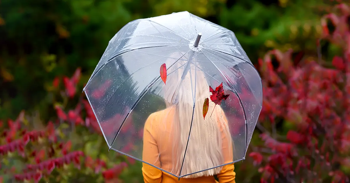 Clear Bubble Umbrella - The Best Umbrellas That You Can See Through